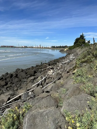10 Best Trails and Hikes in Timaru | AllTrails