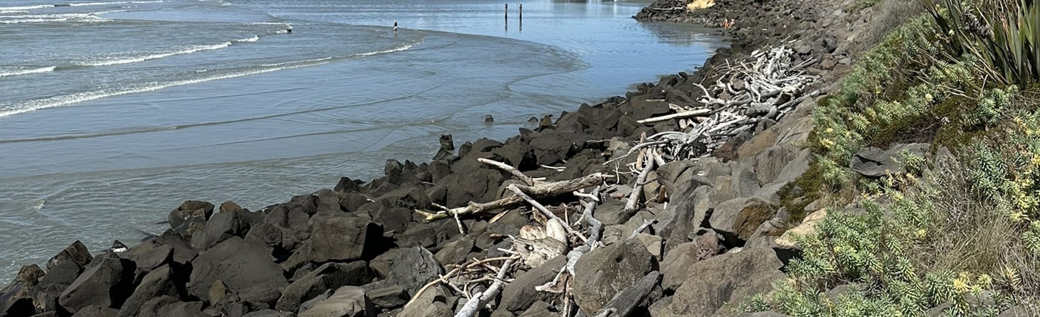 Timaru Loop Walk, Canterbury, New Zealand - Map, Guide | AllTrails