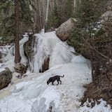 Crystal Creek Reservoir Trail [CLOSED], Colorado - 401 Reviews, Map ...