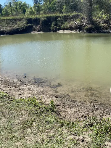 Best Hikes and Trails in Camp Mohawk County Park | AllTrails