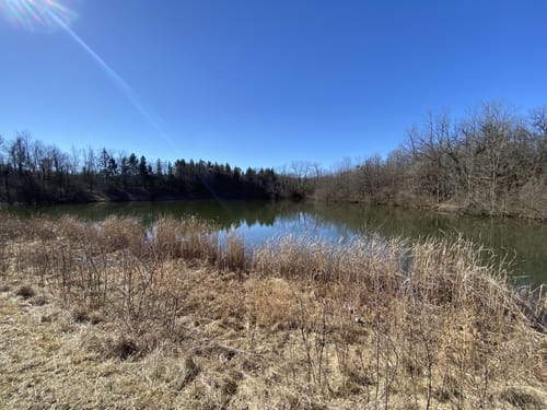 Best Hikes and Trails in Myeerah Nature Preserve | AllTrails