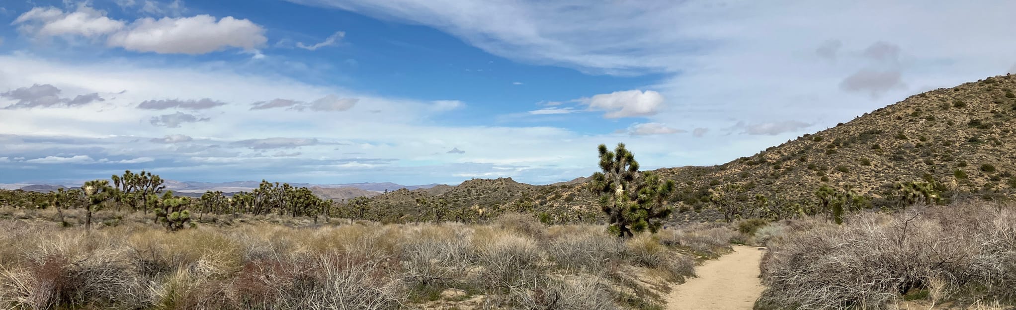 Black Rock Canyon Trail: 419 Reviews, Map - California | AllTrails
