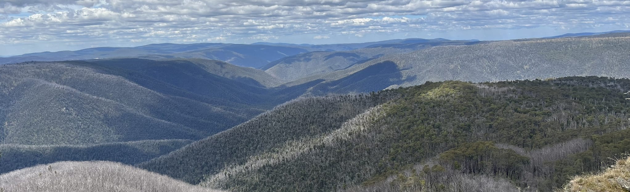Mount Tabletop: 39 Reviews, Map - Victoria, Australia | AllTrails