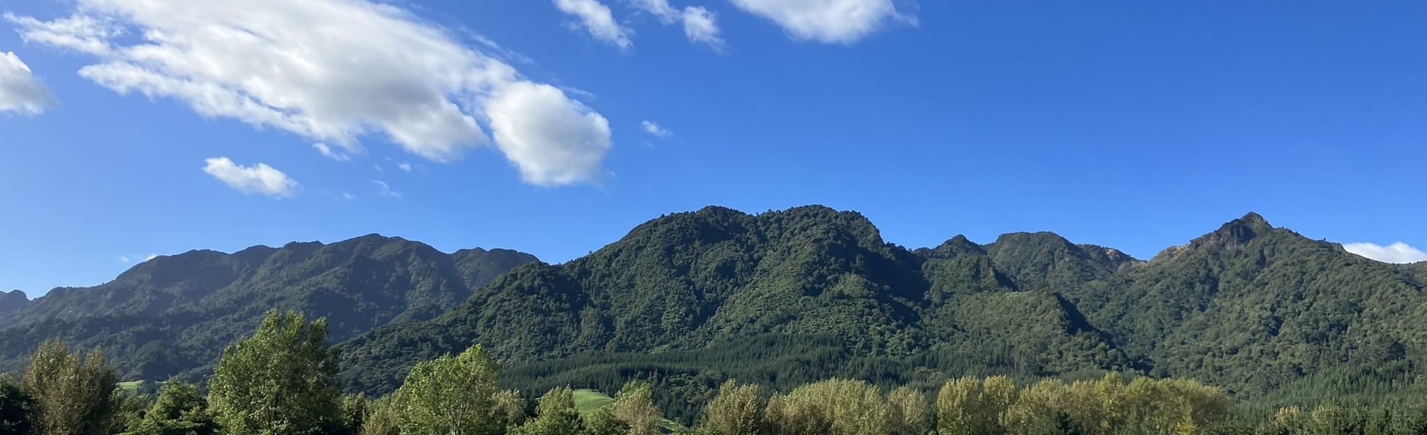 Kaimai Ridgeway Walk, Waikato, New Zealand - 7 Reviews, Map | AllTrails