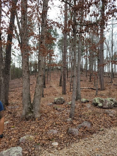 Best Hikes and Trails in Peck Ranch Conservation Area | AllTrails