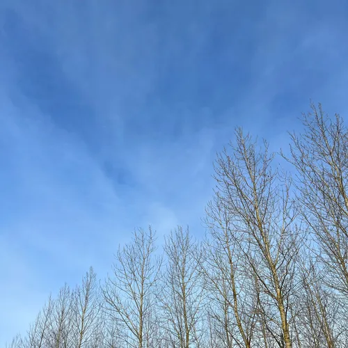 Best Hikes and Trails in Pages Wood | AllTrails