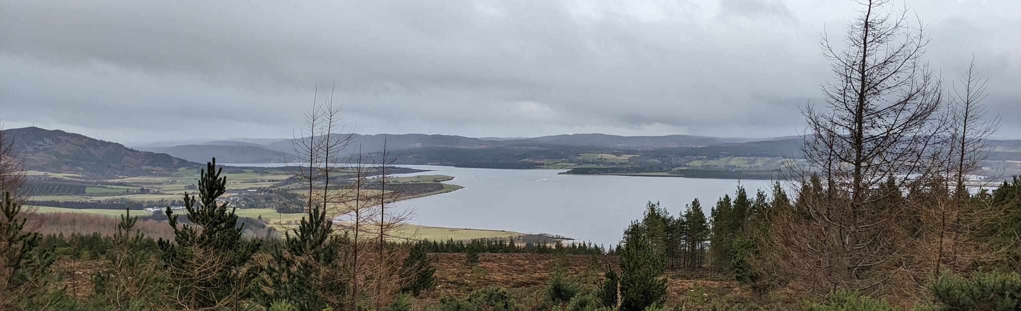 Tain and Morangie Forest Circular, Highlands, Scotland - 7 Reviews, Map ...