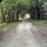 Graham Swamp Trail, Florida - 340 Reviews, Map | AllTrails