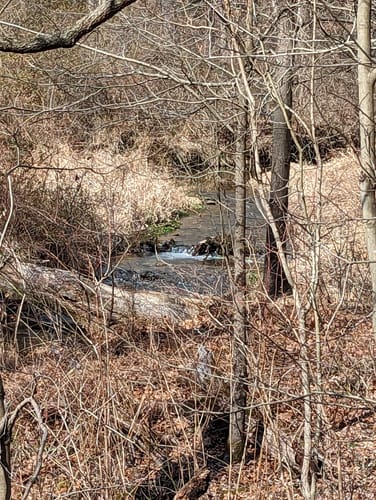 Best Hikes and Trails in BeeTree Preserve | AllTrails
