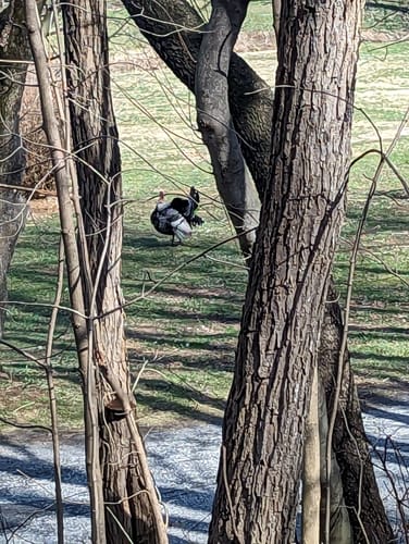 Best Hikes and Trails in BeeTree Preserve | AllTrails