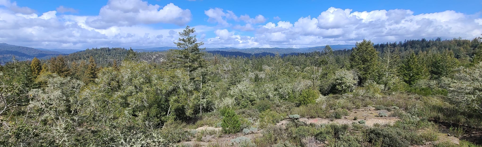 Bear Mountain and Observation Tower: 68 Reviews, 3,729 Photos, Map ...