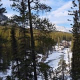 Cline River Trail, Alberta, Canada - 383 Reviews, Map | AllTrails
