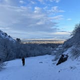 Spring Canyon Trail, Utah - 401 Reviews, Map | AllTrails