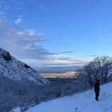 Spring Canyon Trail, Utah - 401 Reviews, Map | AllTrails