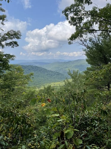 Best Hikes and Trails in Thunder Ridge Wilderness | AllTrails