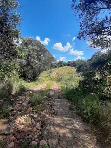 Best Hikes and Trails in Parys | AllTrails