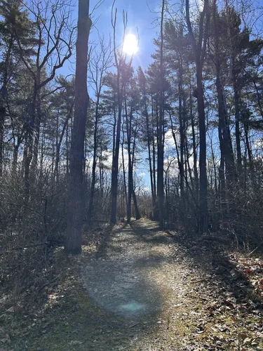 Best Hikes and Trails in Ouabache State Park | AllTrails