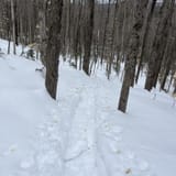 Manning Trail, New Hampshire - 172 Reviews, Map | AllTrails