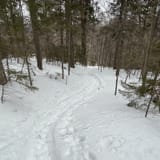 Manning Trail, New Hampshire - 172 Reviews, Map | AllTrails
