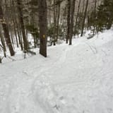 Manning Trail, New Hampshire - 172 Reviews, Map | AllTrails