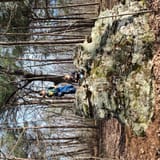 Pigeon Mountain via Rocktown Trail, Georgia - 191 Reviews, Map | AllTrails