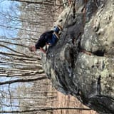 Pigeon Mountain via Rocktown Trail, Georgia - 191 Reviews, Map | AllTrails