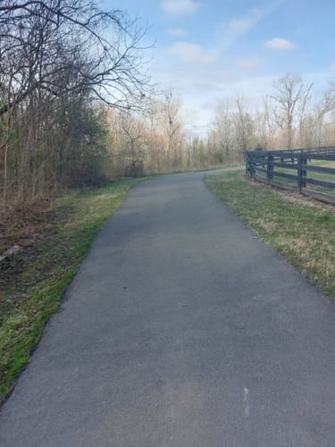Best Hikes and Trails in Anchorage Trail Park | AllTrails