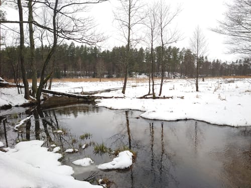 Best Hikes and Trails in Dzūkija National Park | AllTrails