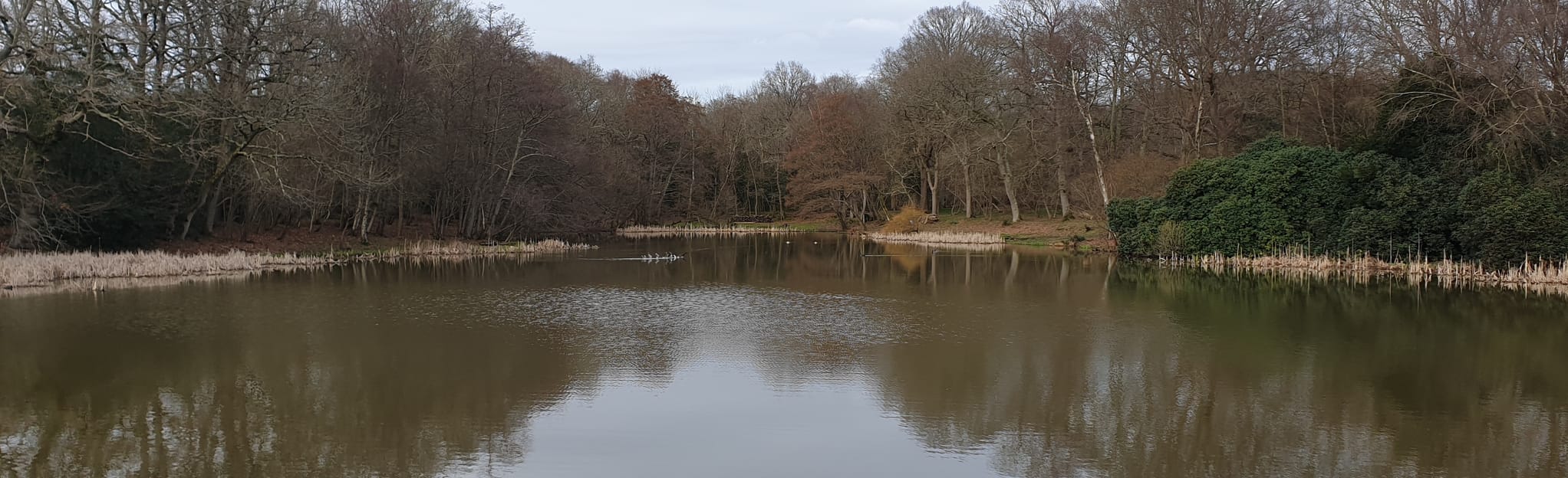 Cuckfield and Ansty Circular: 47 Reviews, Map - West Sussex, England ...