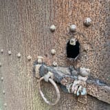 Peddocks Island Perimeter and Fort, Massachusetts - 53 Reviews, Map ...