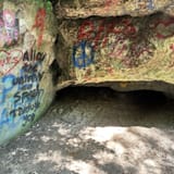 Dames Cave, Florida - 522 Reviews, Map | AllTrails