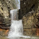 Devil's Racetrack Trail, Tennessee - 553 Reviews, Map | AllTrails