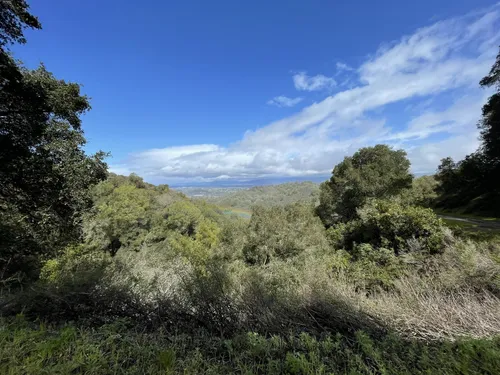 10 Best Hikes and Trails in Almaden Quicksilver County Park | AllTrails