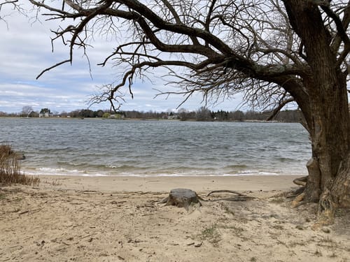 Best Hikes and Trails in Wye Island Natural Resource Management Area ...