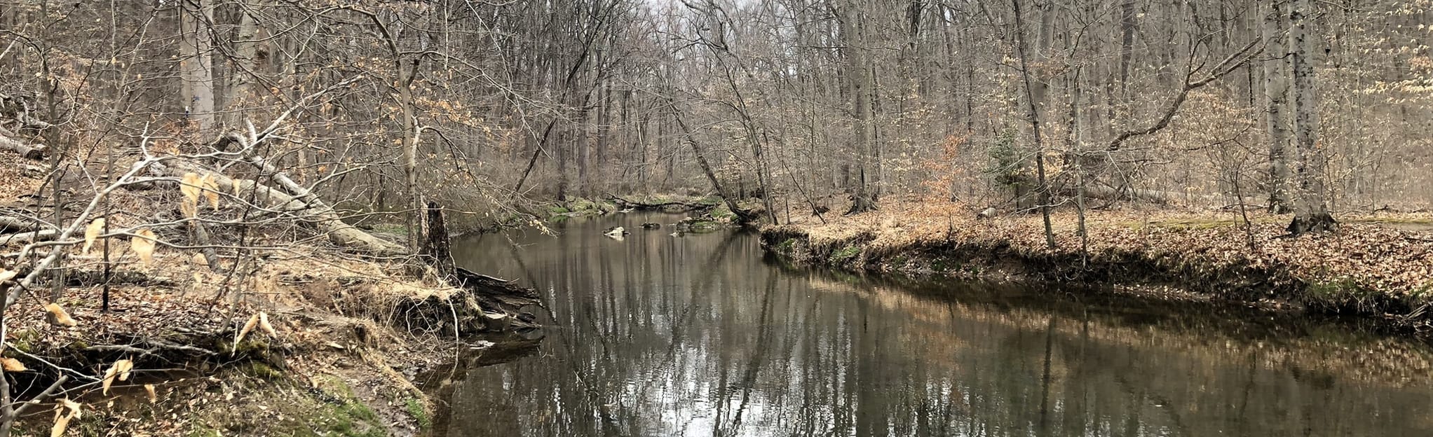 Ridley Creek Blue and White Trail loop: 583 Reviews, Map - Pennsylvania ...