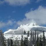 Hogg Meadow and Hayrick Glade Loop, Oregon - 15 Reviews, Map | AllTrails