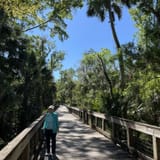 Graham Swamp Trail, Florida - 338 Reviews, Map | AllTrails