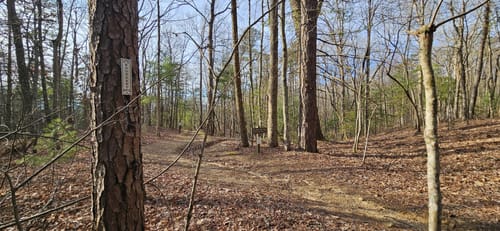 10 Best Kid Friendly Trails in Great Smoky Mountains National Park ...