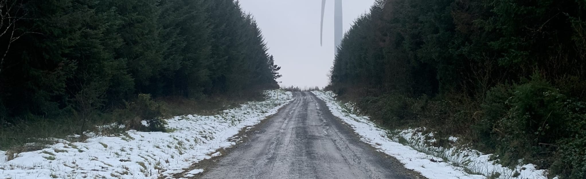 Doughill Forest, County Roscommon, Ireland - 7 Reviews, Map | AllTrails