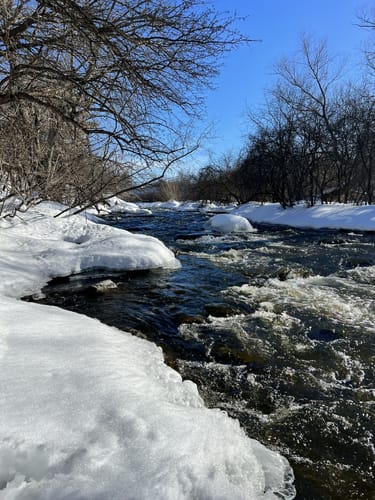 Best Hikes and Trails in Hog's Back Park | AllTrails