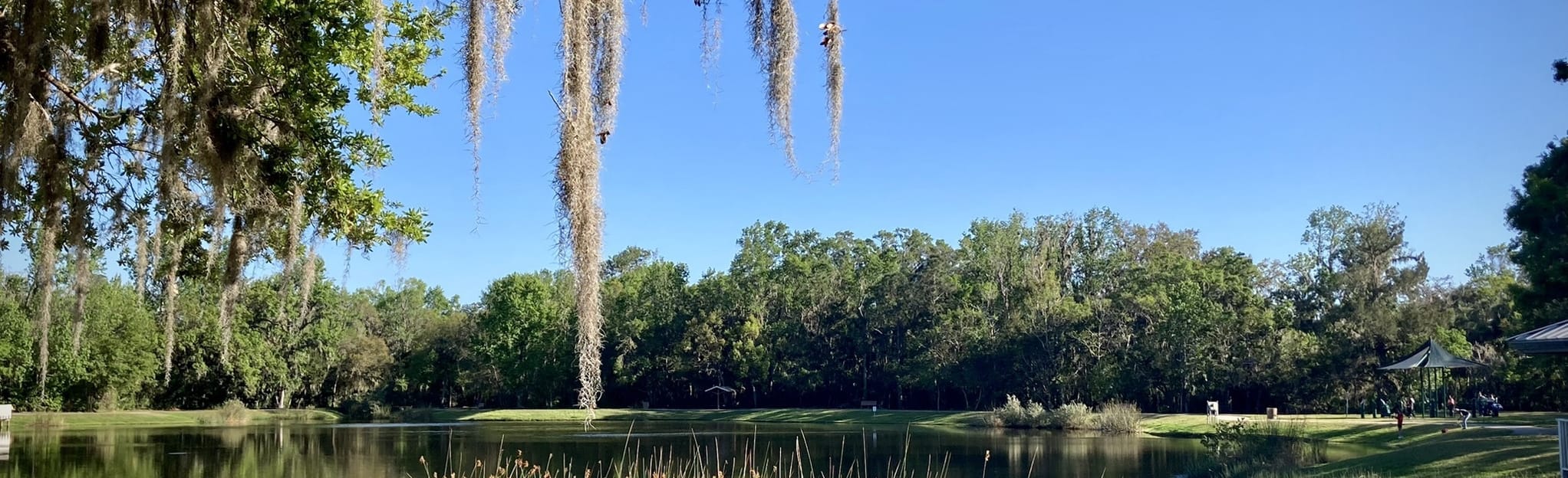 Buschman Park Loop, Florida - 41 Reviews, Map | AllTrails