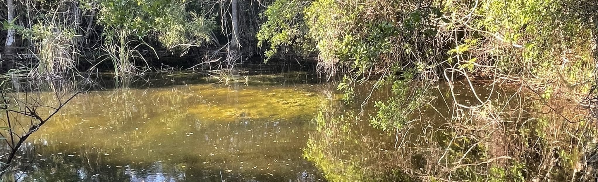 Hidden Lake and Old Ingraham Highway Trail [CLOSED]: 28 Reviews, Map ...