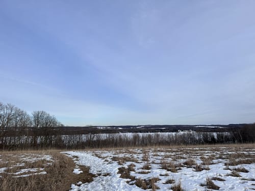 Best Hikes and Trails in Clay Cliffs Natural Area | AllTrails