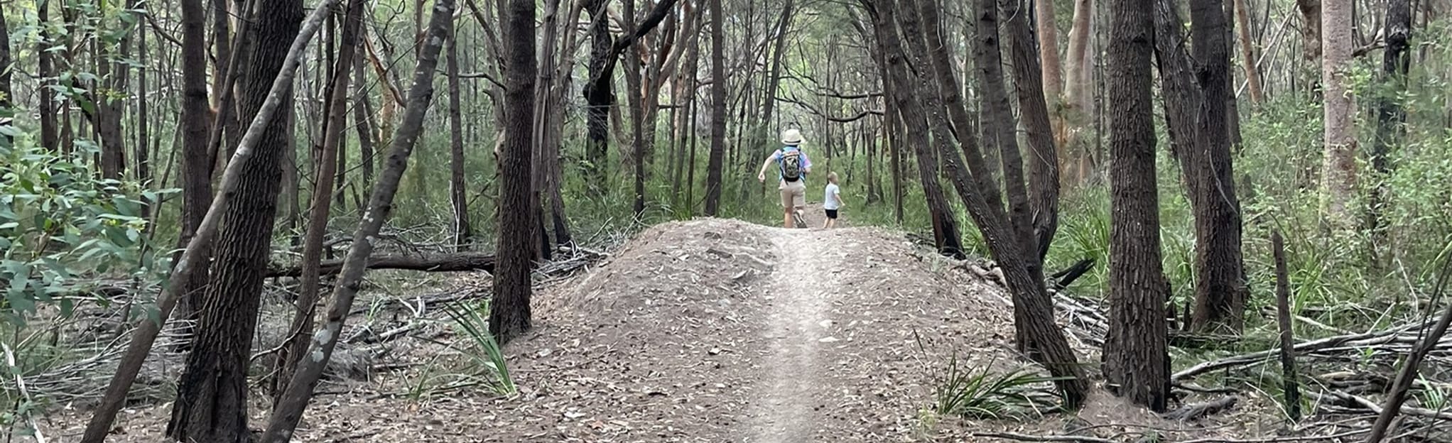 Loftus Bike Trail, New South Wales, Australia - 55 Reviews, Map | AllTrails