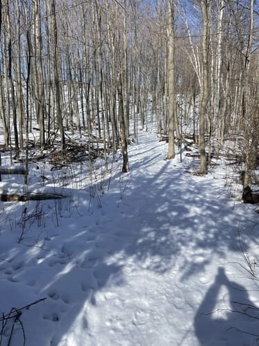 Best Hikes and Trails in Clay Cliffs Natural Area | AllTrails