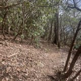 Jacks Knob Trail, Georgia - 165 Reviews, Map | AllTrails