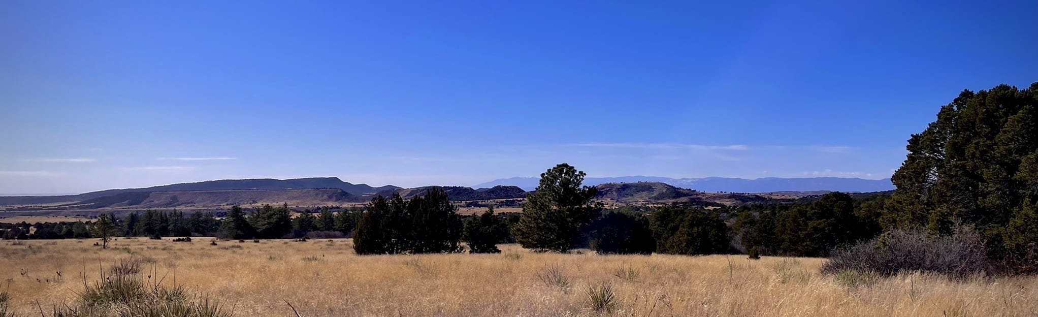 Aiken Canyon Loop Trail | Map, Guide - Colorado | AllTrails