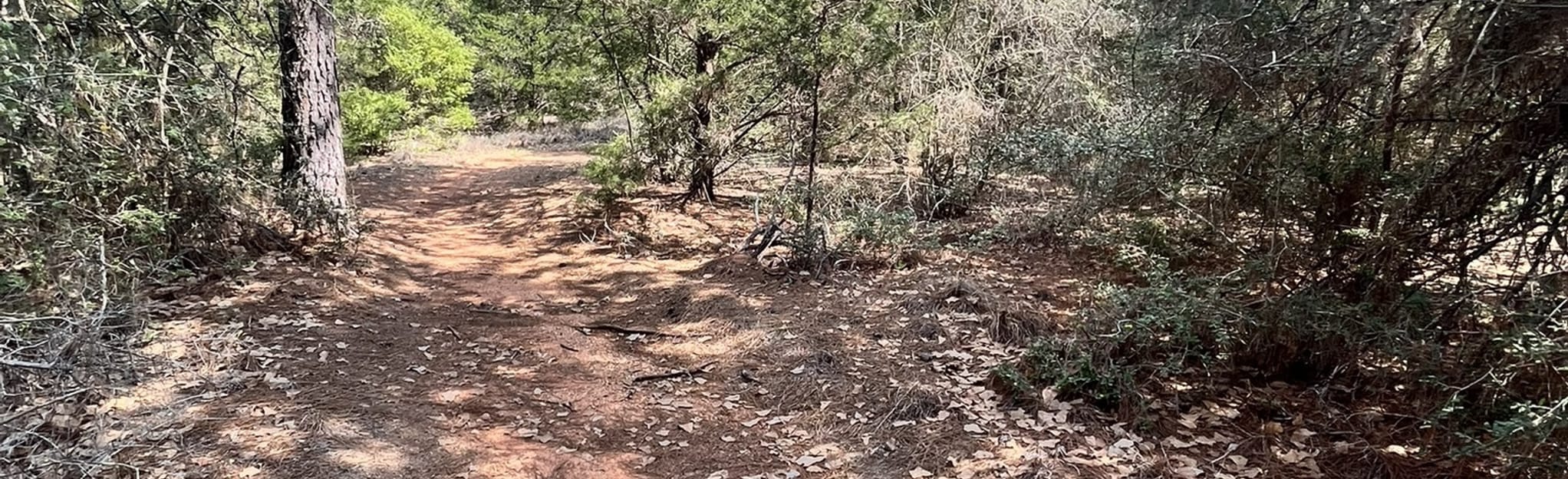 Lake Bryan Trail: 147 Reviews, Map - Texas | AllTrails