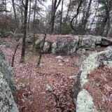 Coon Ridge Trail, Oklahoma - 341 Reviews, Map | AllTrails