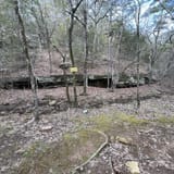 Coon Ridge Trail, Oklahoma - 341 Reviews, Map | AllTrails